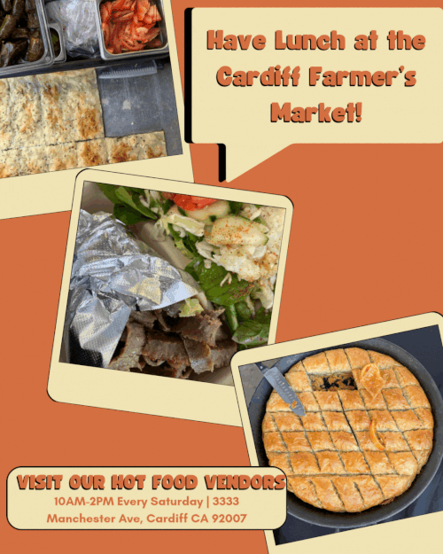 Cardiff Farmers Market — Cardiff 101 Main Street