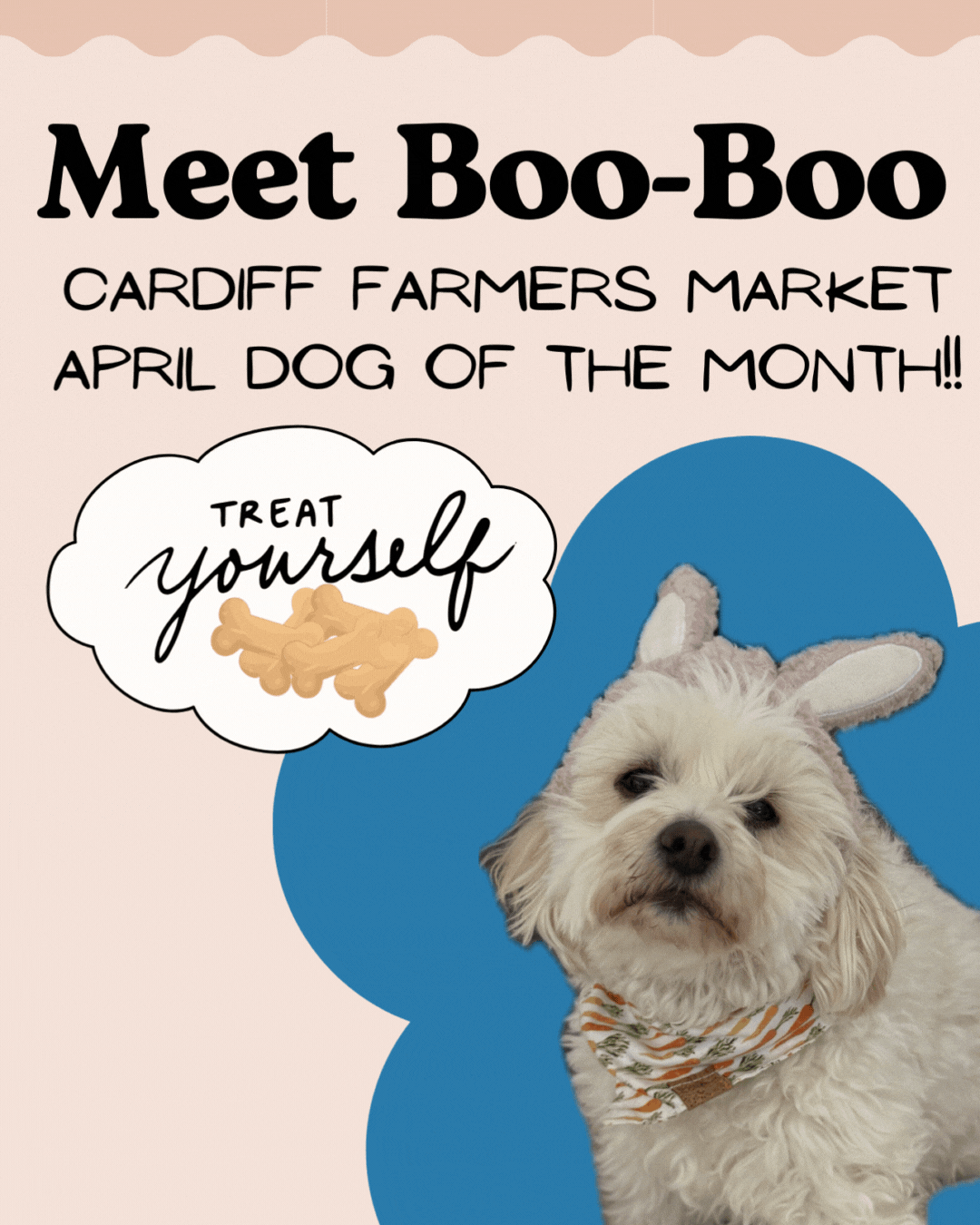 Cardiff Farmers Market — Cardiff 101 Main Street