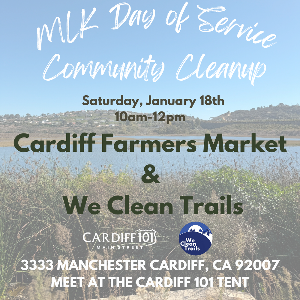 Cardiff Farmers Market — Cardiff 101 Main Street