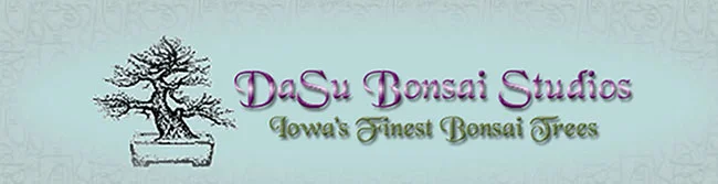 August Exhibition — Midwest Bonsai Society