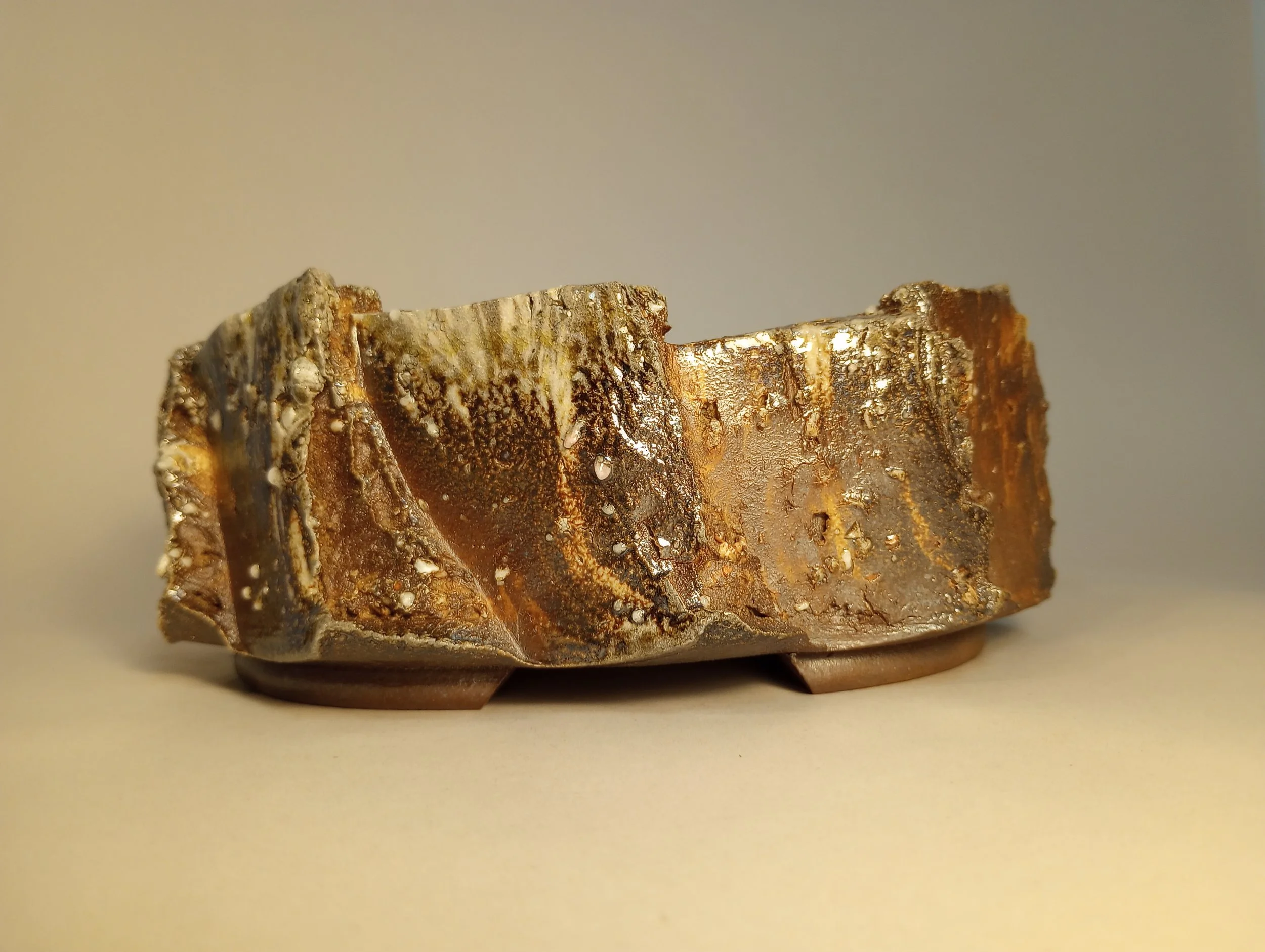 August Exhibition — Midwest Bonsai Society