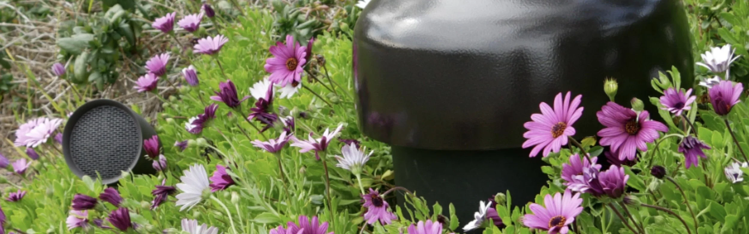 Landscape Speakers: Your Guide to the Perfect Backyard Sound System ...