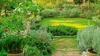 Grow Your Own Food: Planning Your Edible Landscape Design | Containers ...