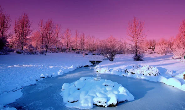 4 Tips To Taking Beautiful Winter Photos — CameraGiveaways.com