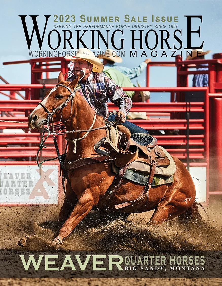The Horse Magazine