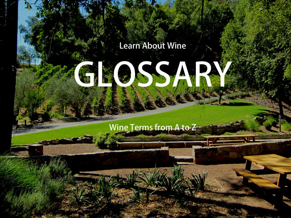 Glossary — EverWonderWine?