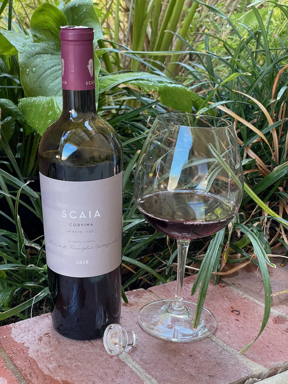 Behind the Cork™ - Scaia Corvia — EverWonderWine?