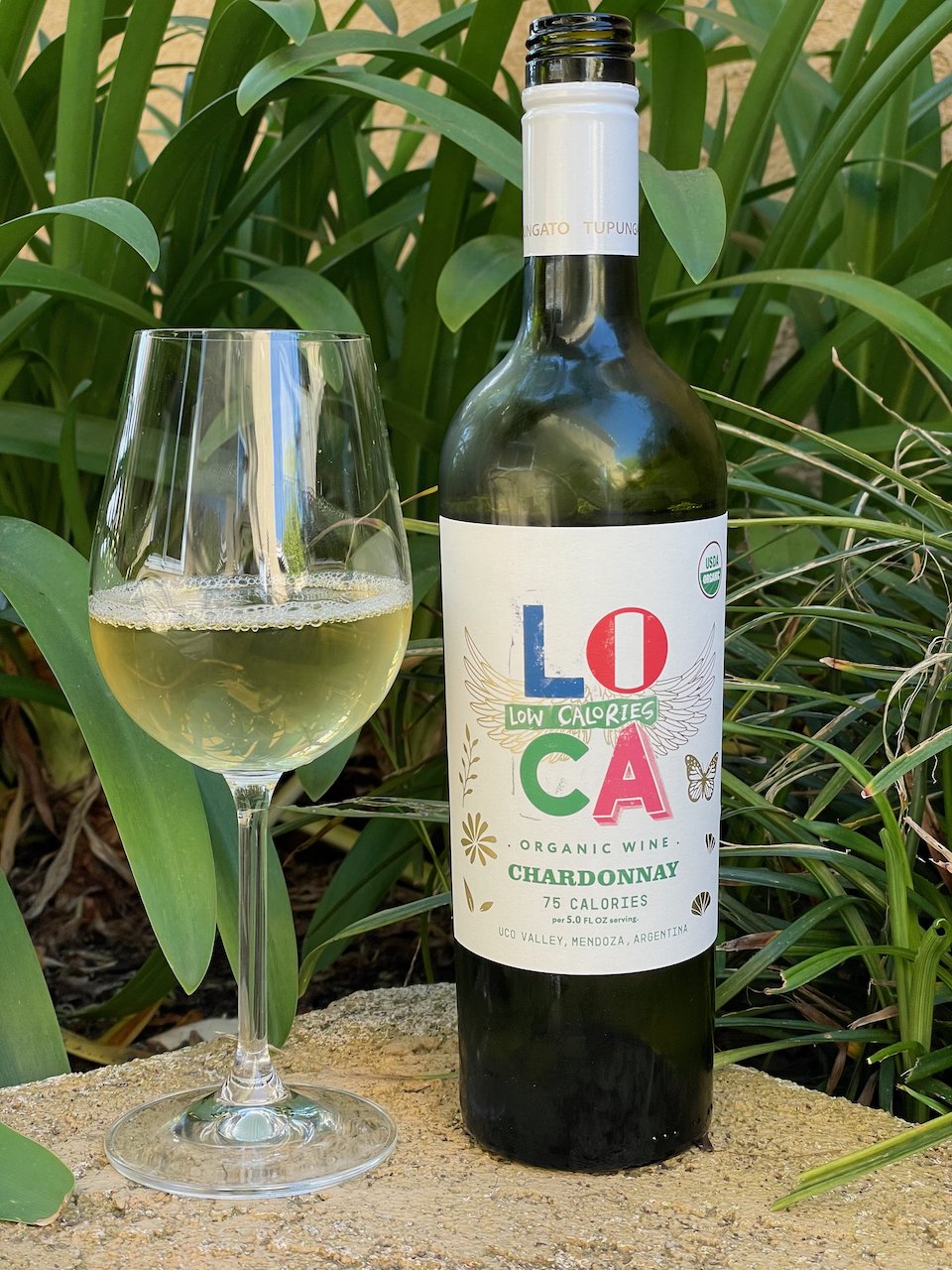 Behind the Cork™ - Chile's Coastal Sauvignon Blancs (Part 2 ...