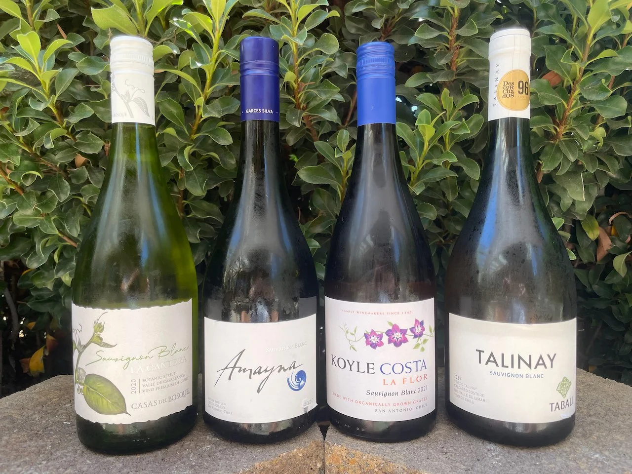 Behind the Cork™ - Chile's Coastal Sauvignon Blancs (Part 2) — EverWonderWine?