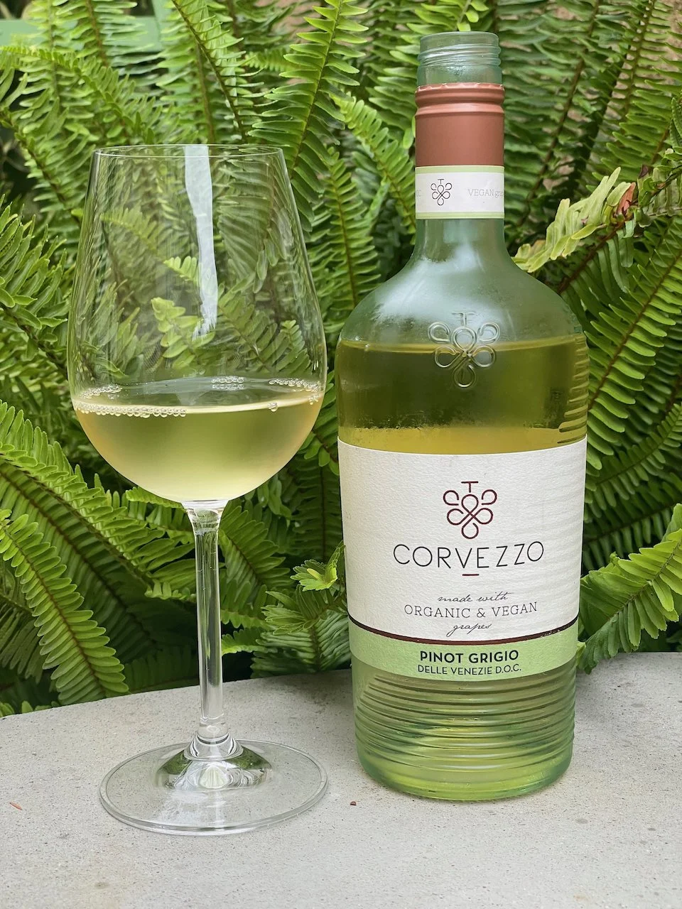 Behind the Cork™ - Corvezzo Pinot Grigio — EverWonderWine?