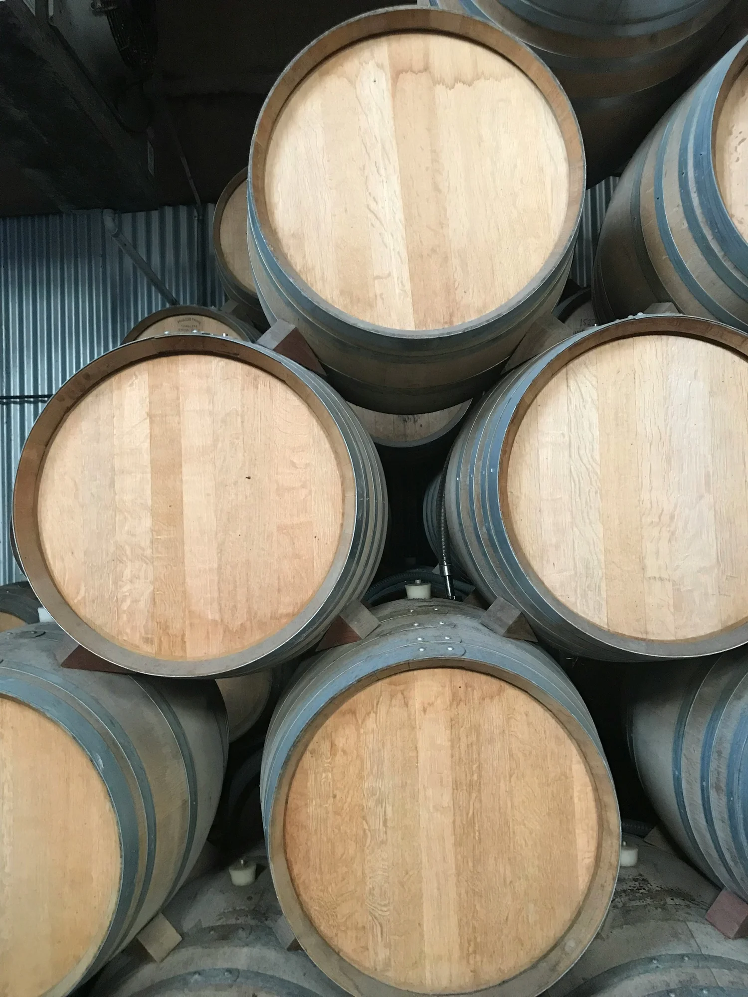 Ever Wonder? What Do these Terms Mean on a Wine Label? — EverWonderWine?