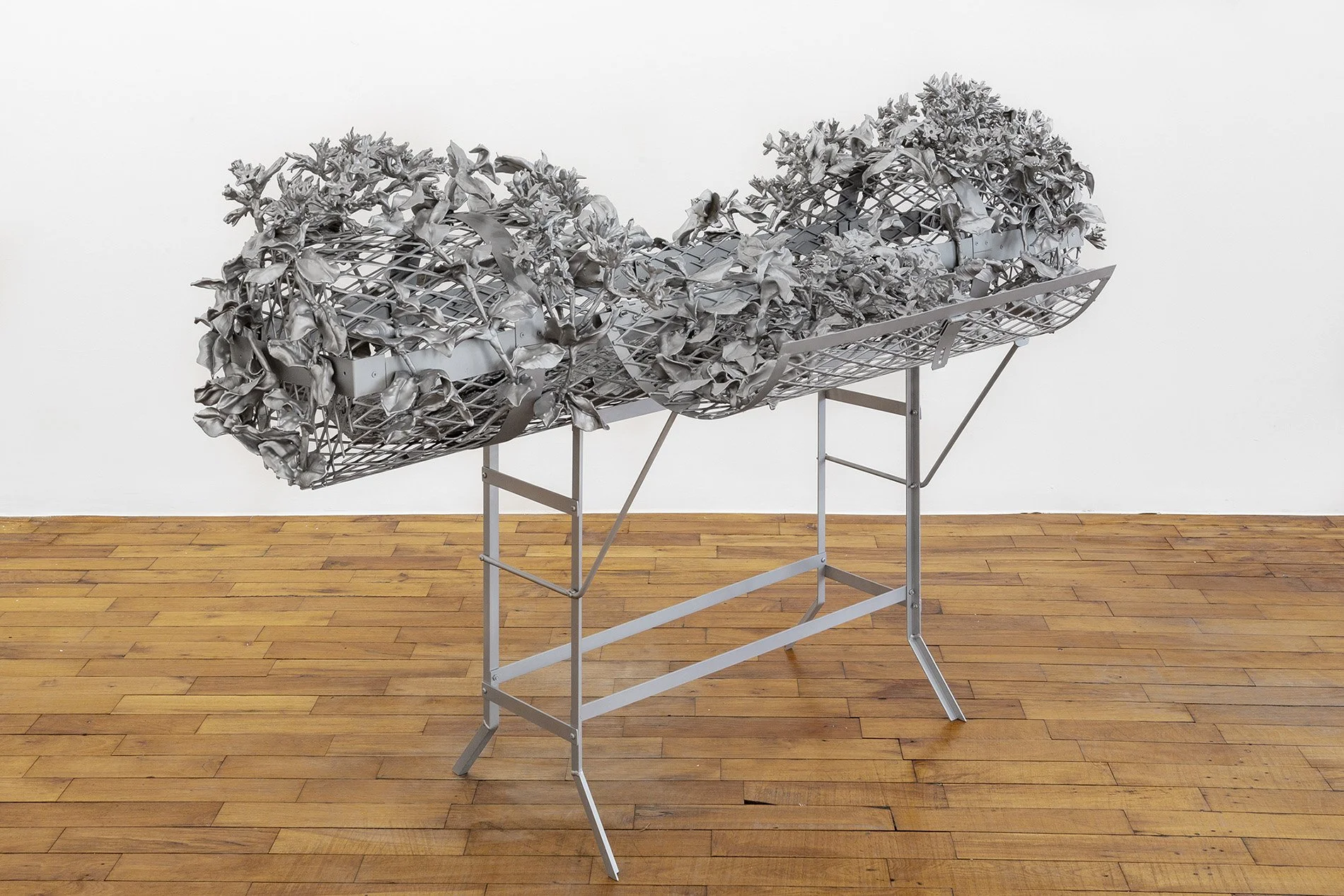 Lodestar — RACHELLE DANG