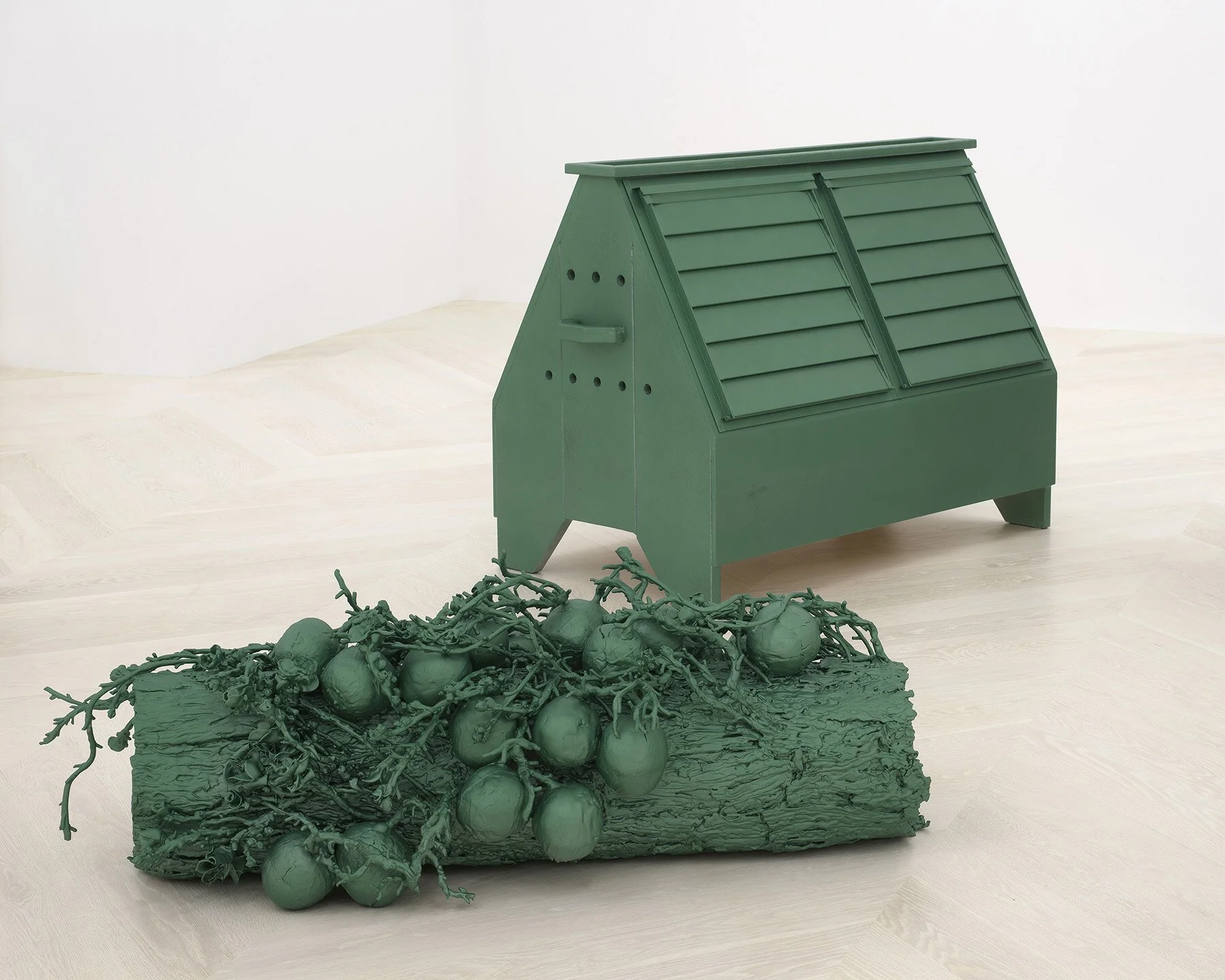 House on Cannonball Street — RACHELLE DANG