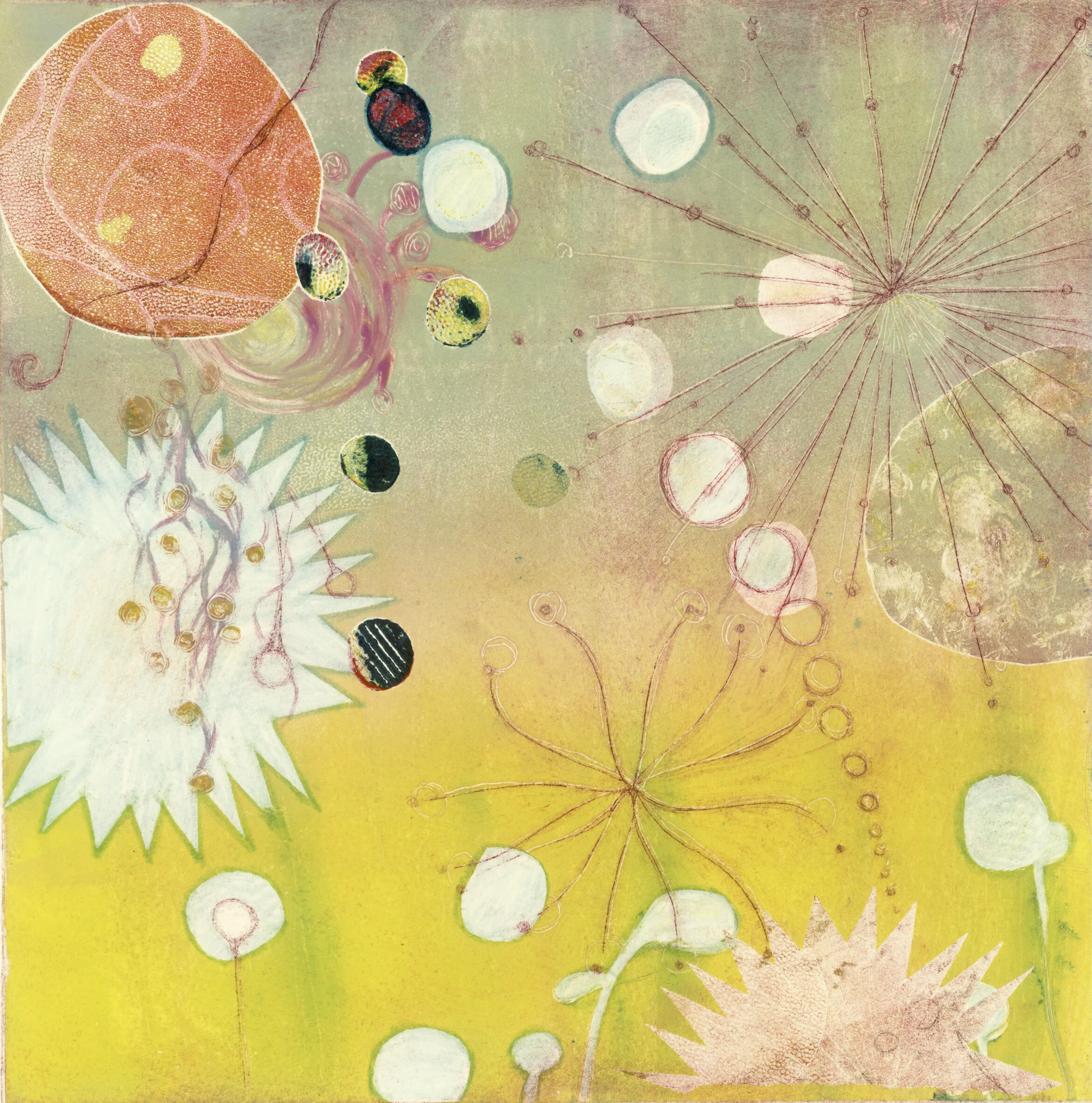 Maura Bendett Gallery — Josephine Press