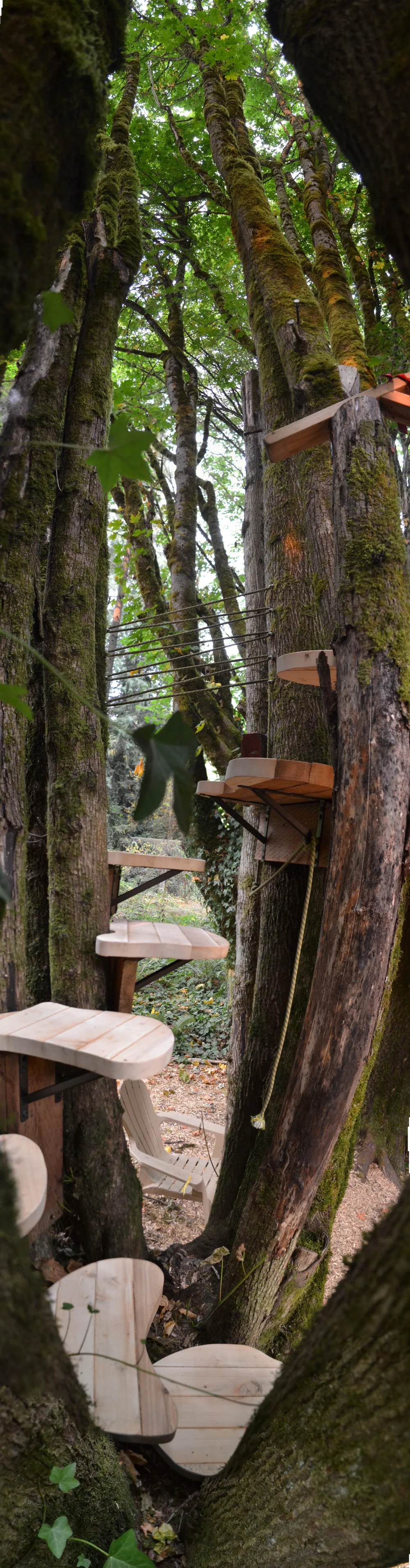 Treehouse Platform — Daniel Gehr