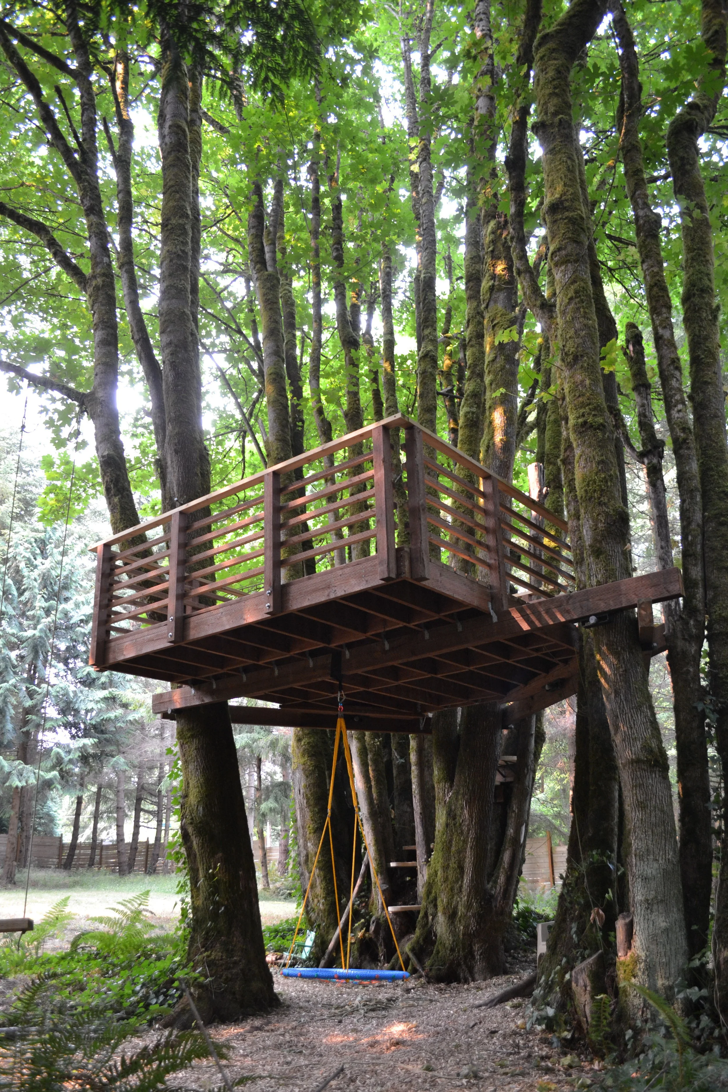 Treehouse Platform — Daniel Gehr
