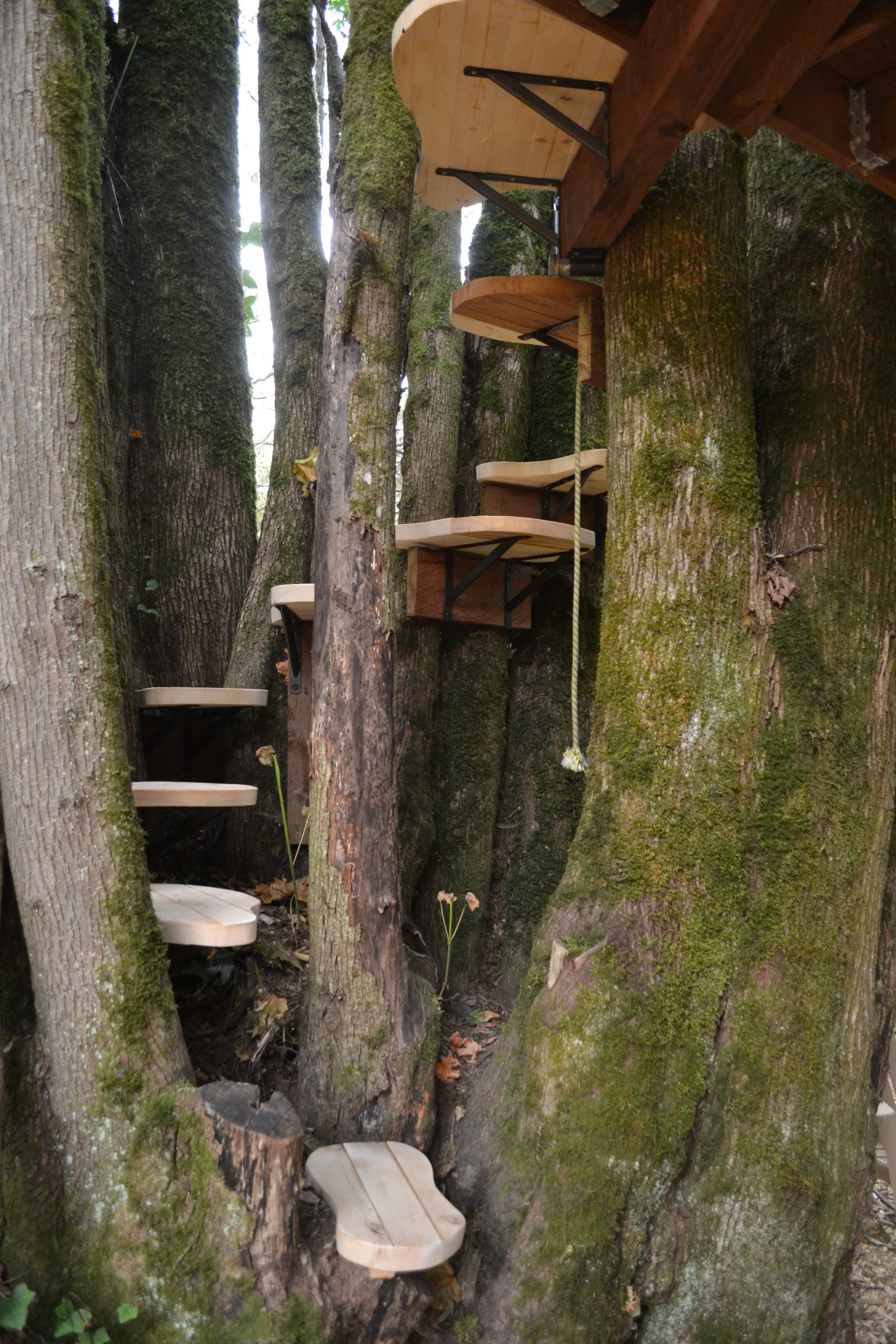 Treehouse Platform — Daniel Gehr