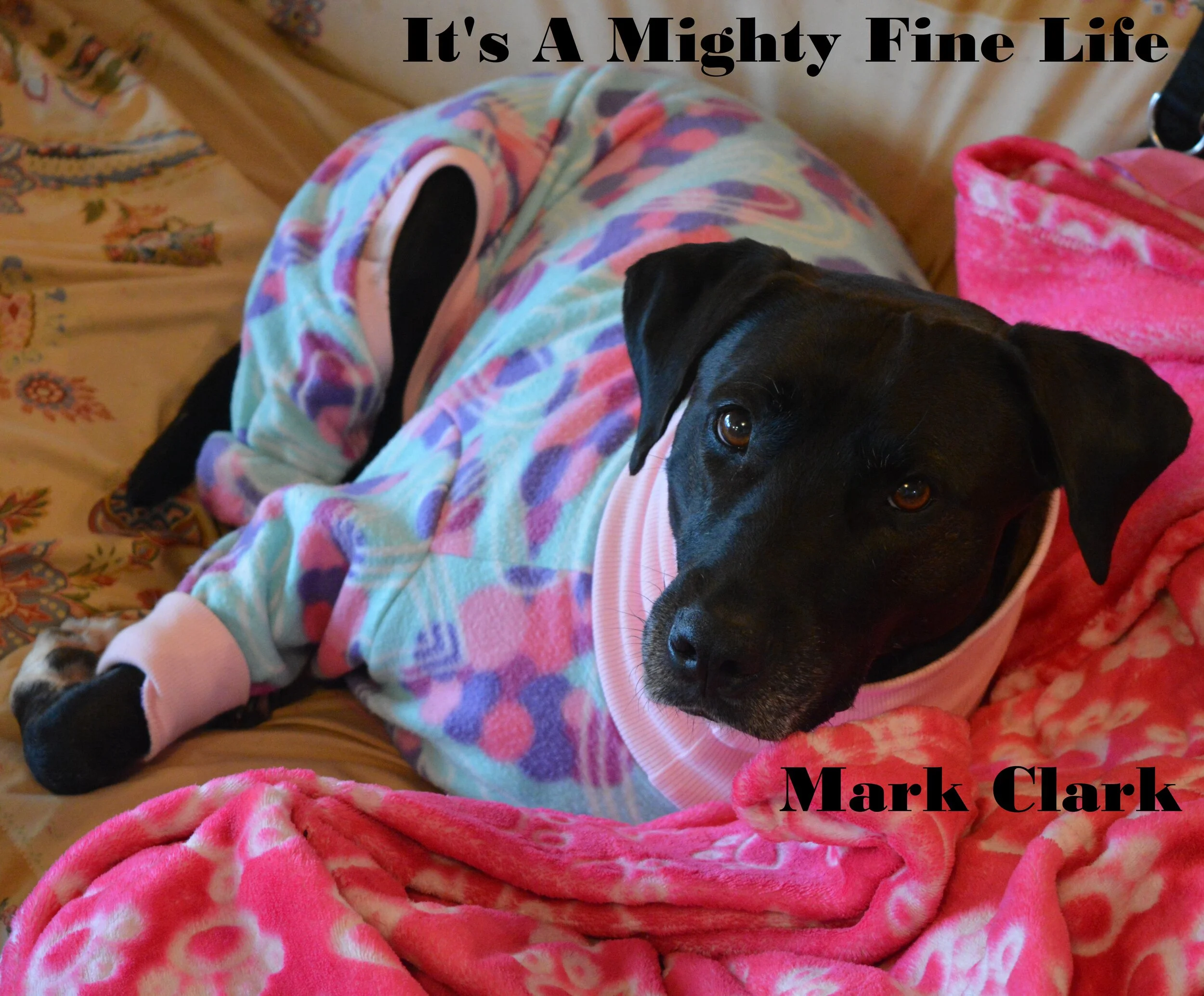 New Releases — Mark Clark