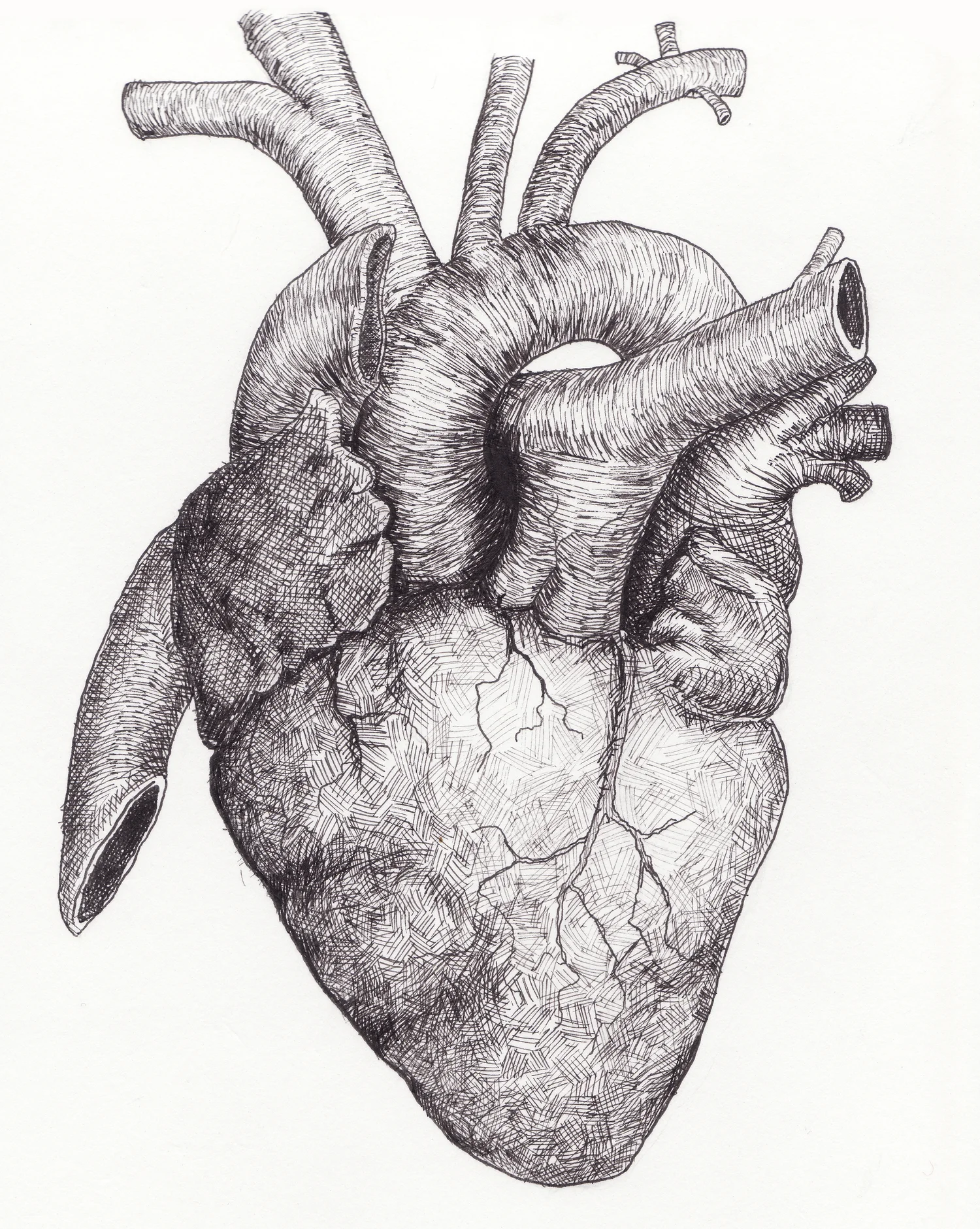 Real Heart Drawing Tumblr