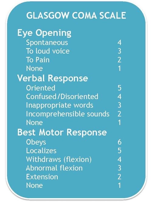The ED Approach To The Comatose Patient — NUEM Blog