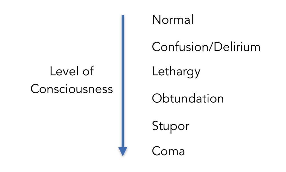 The ED Approach To The Comatose Patient — NUEM Blog