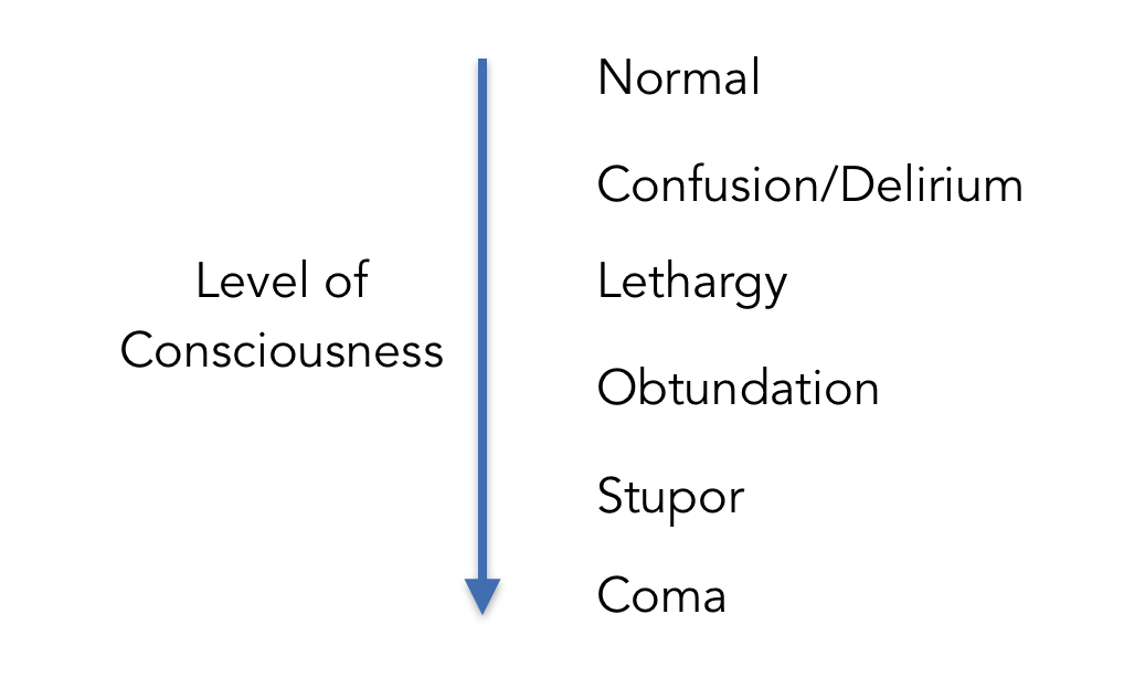The ED Approach To The Comatose Patient — NUEM Blog