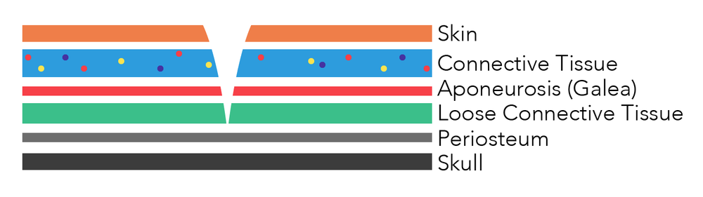 Quick Guide to Minor Facial Trauma: Part I — NUEM Blog