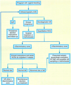 Clinical Concept: Managing first trimester vaginal bleeding in the ED ...