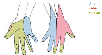 Demystifying the Hand Exam — NUEM Blog