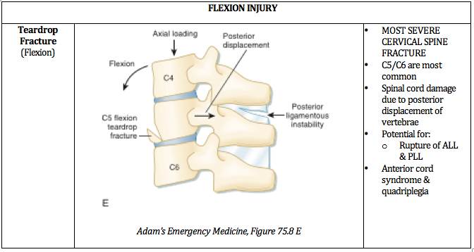 Unstable Cervical Spine Fractures — NUEM Blog