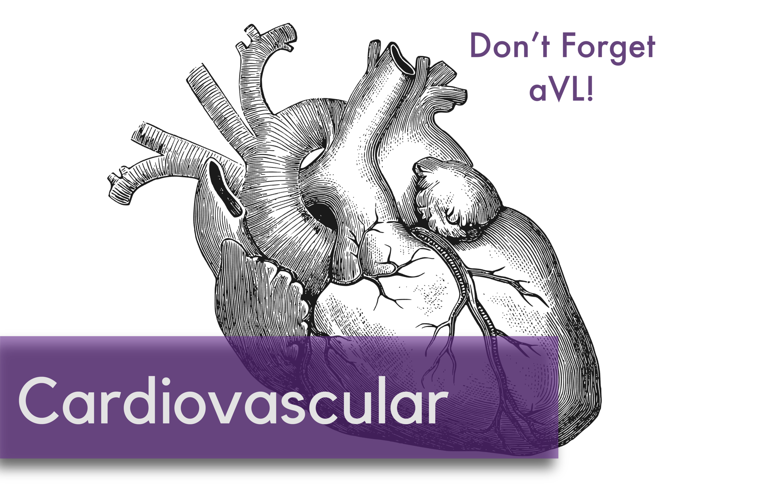 Don't Forget aVL! — NUEM Blog