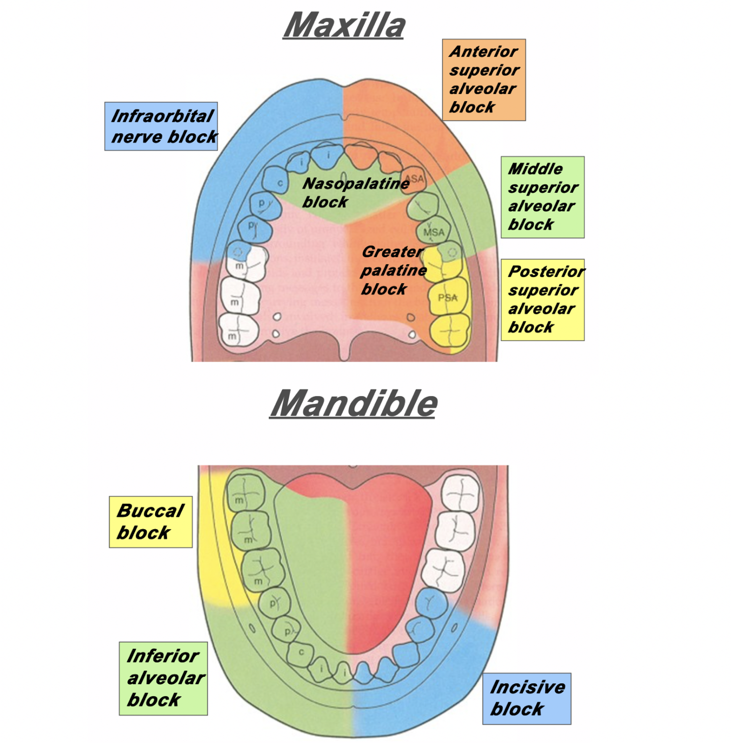 Types Of Anesthesia Nerve Blocks Cpt Code Infoupdate