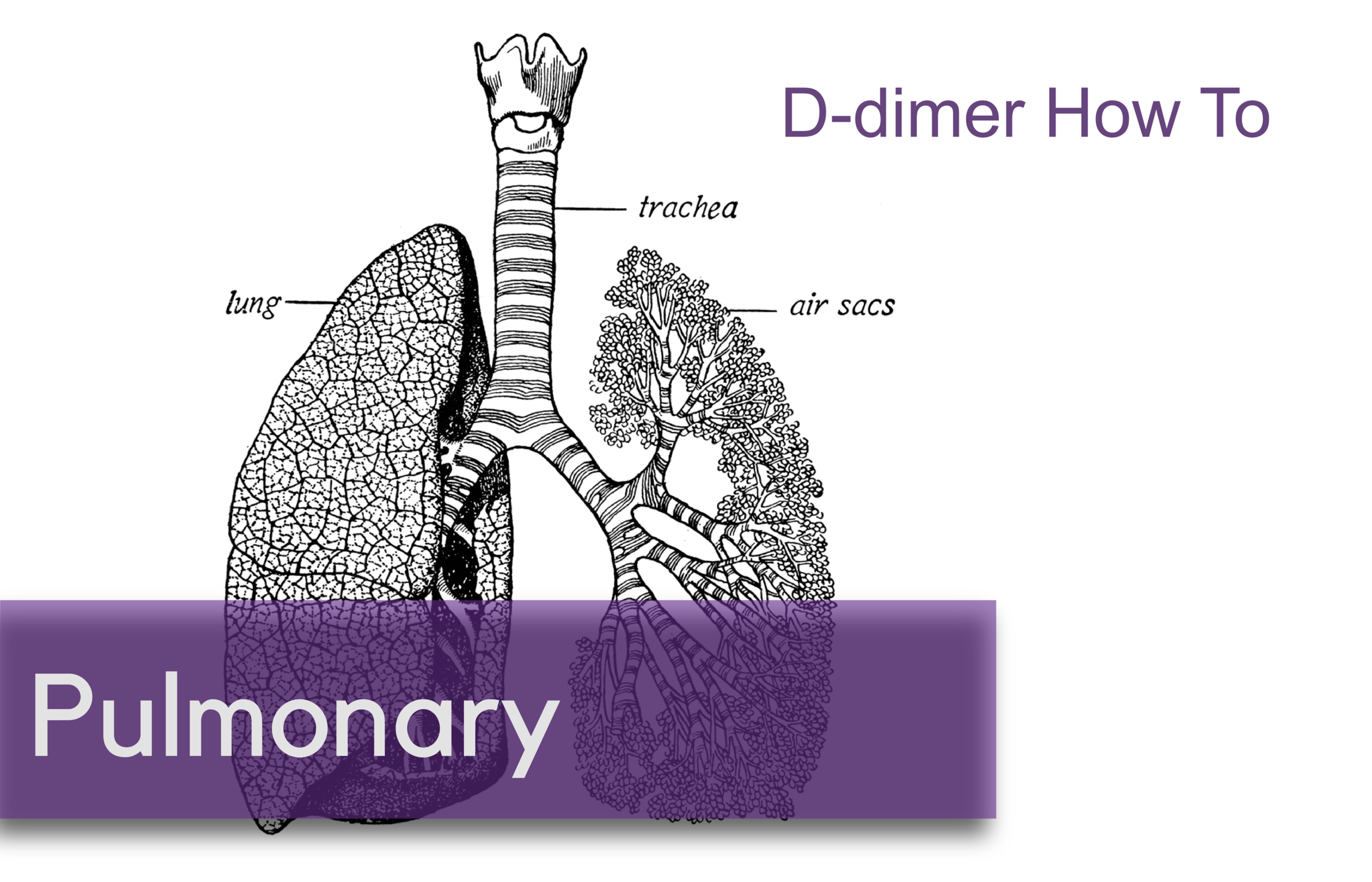 D Dimer How To — Nuem Blog