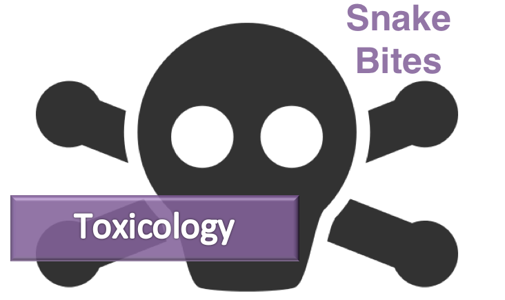 Management of Snake Bite Injuries — NUEM Blog