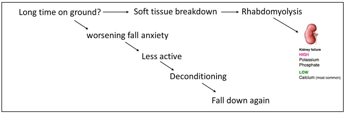 Elderly Fallers — NUEM Blog