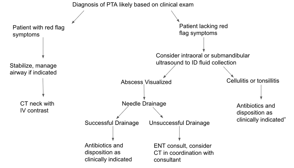 Imaging in PTAs — NUEM Blog