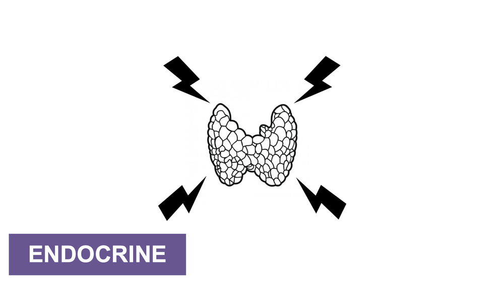 Thyroid Storm ED Diagnosis and Management — NUEM Blog