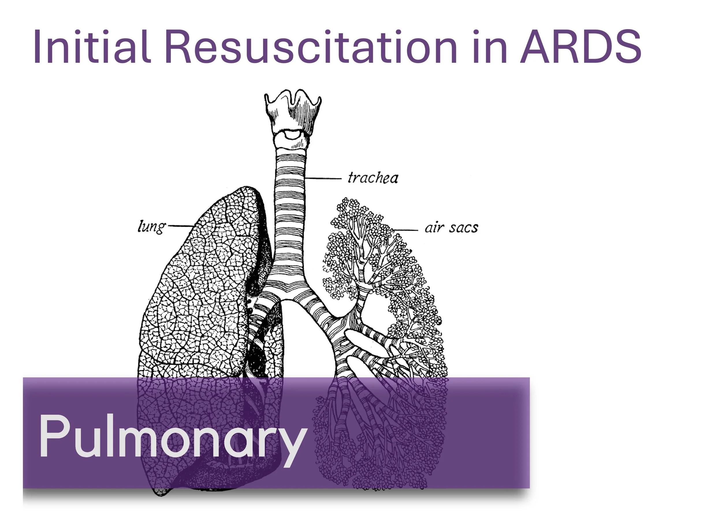 Initial Resuscitation in ARDS — NUEM Blog