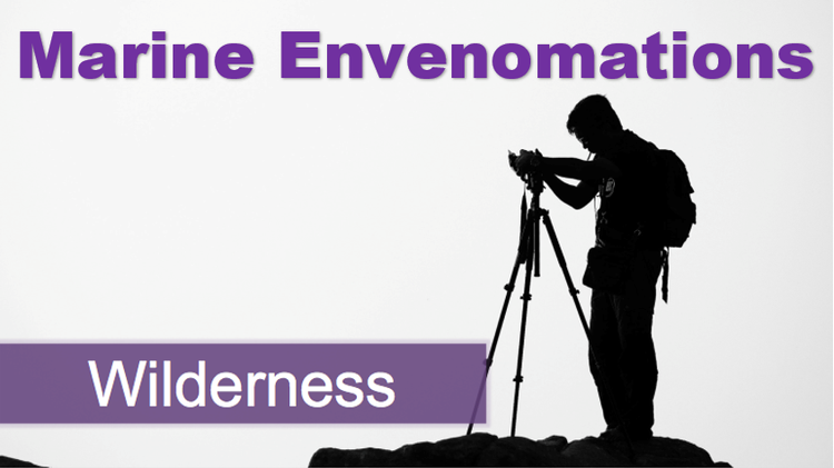 Marine Envenomations — NUEM Blog