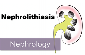 Nephrolithiasis: Ultrasonography versus Computed Tomography — NUEM Blog