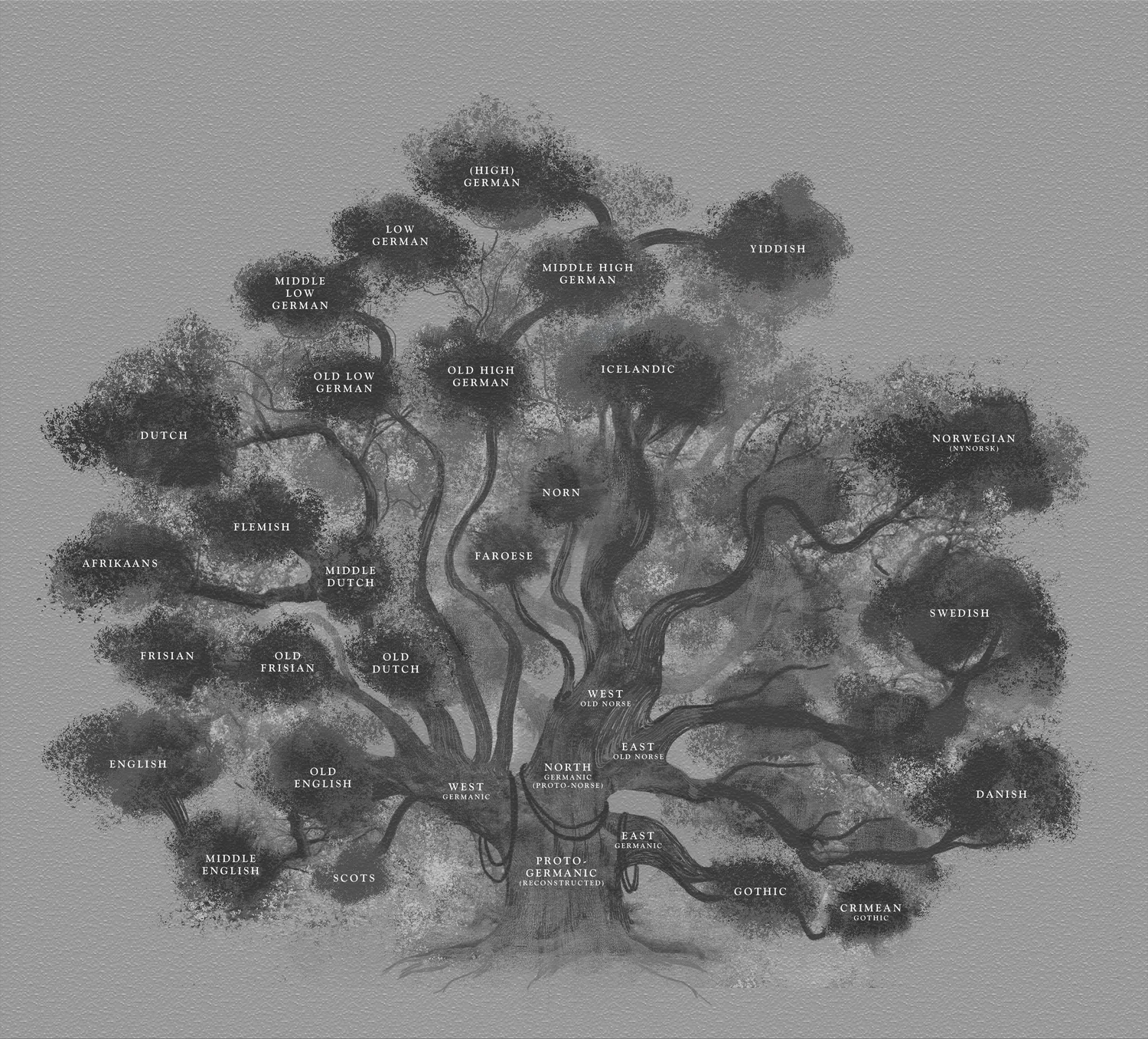 Tree Model of the Germanic Languages — Mimisbrunnr.info: Developments ...