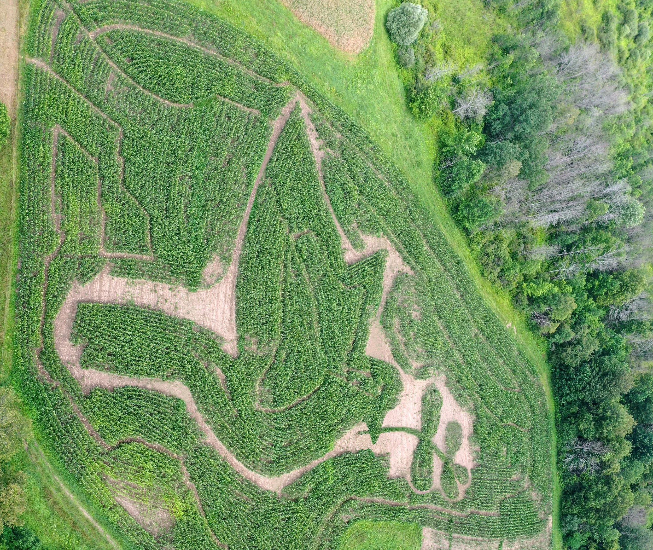 Our Farm