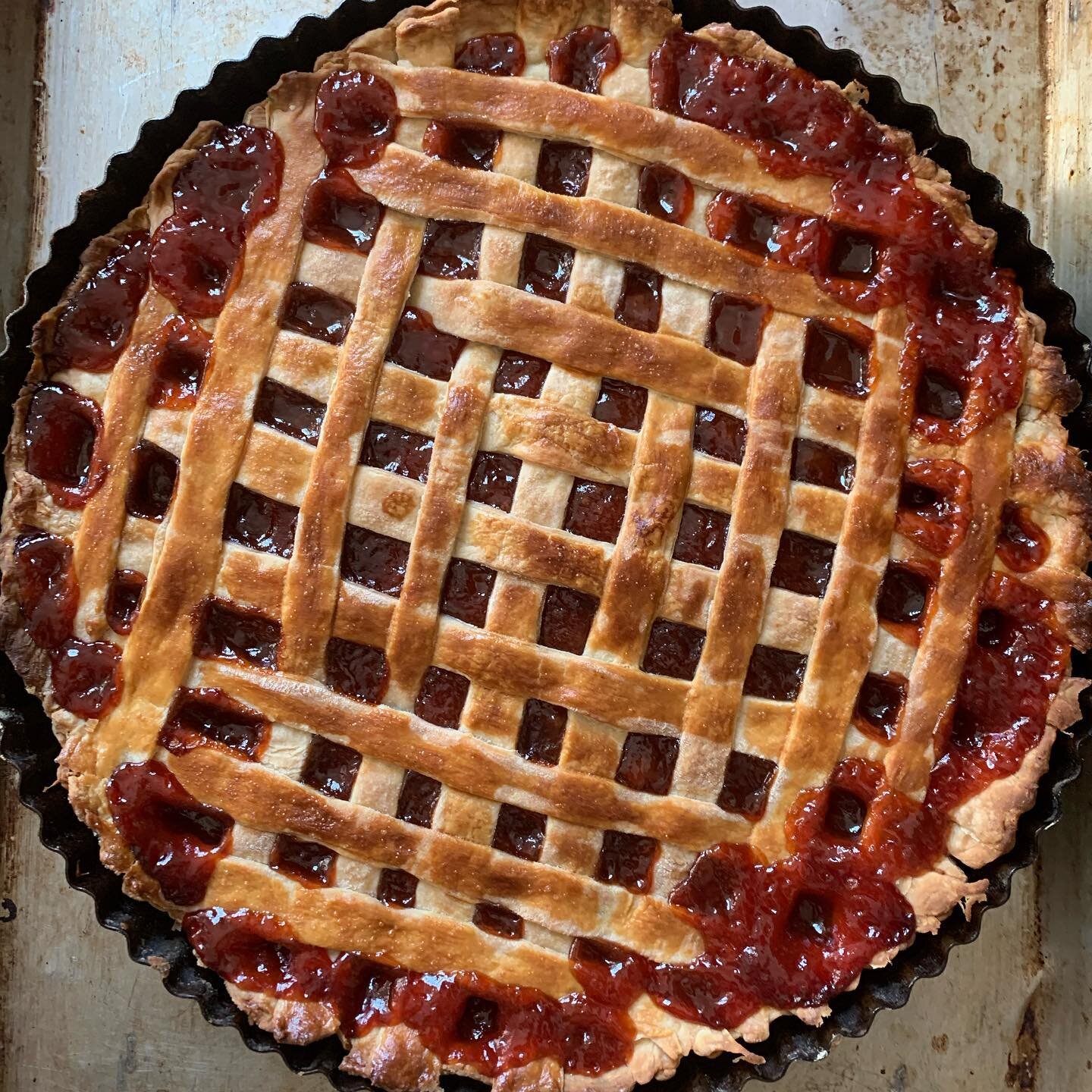 RingolevioRingolevioBrooklyn