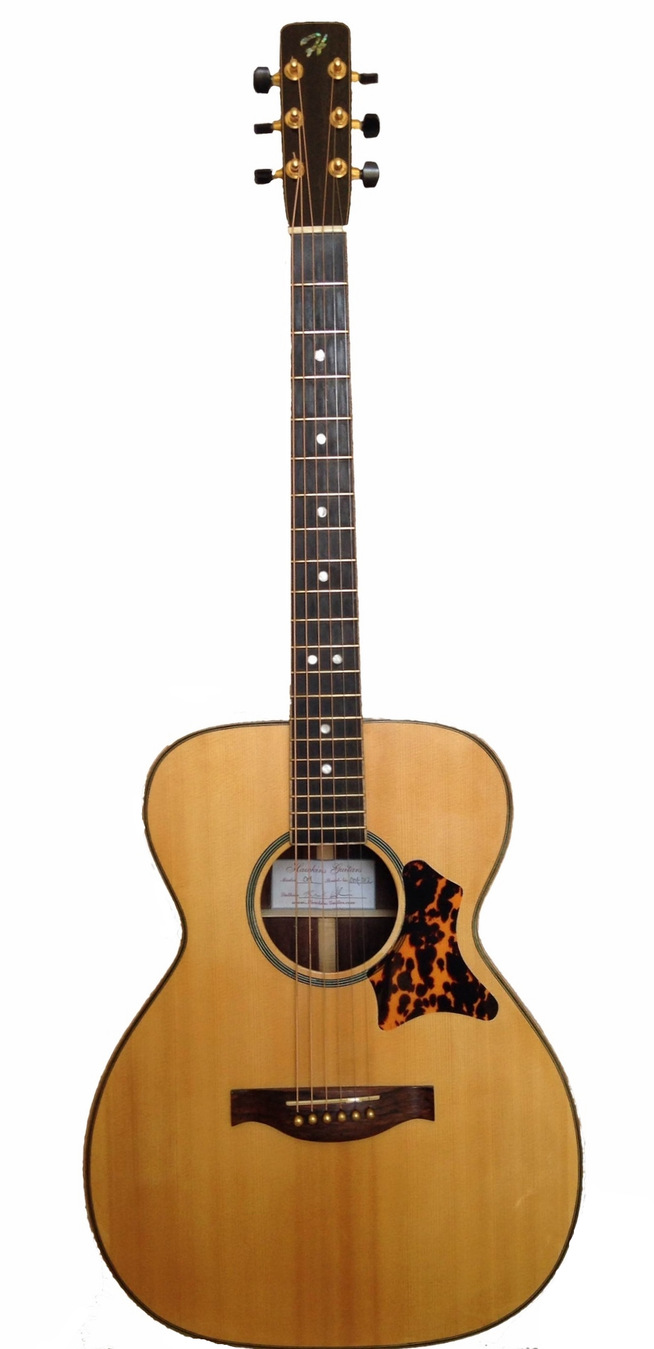 Orchestra Model — Handmade Guitars - Luthier School - Guitar Repair