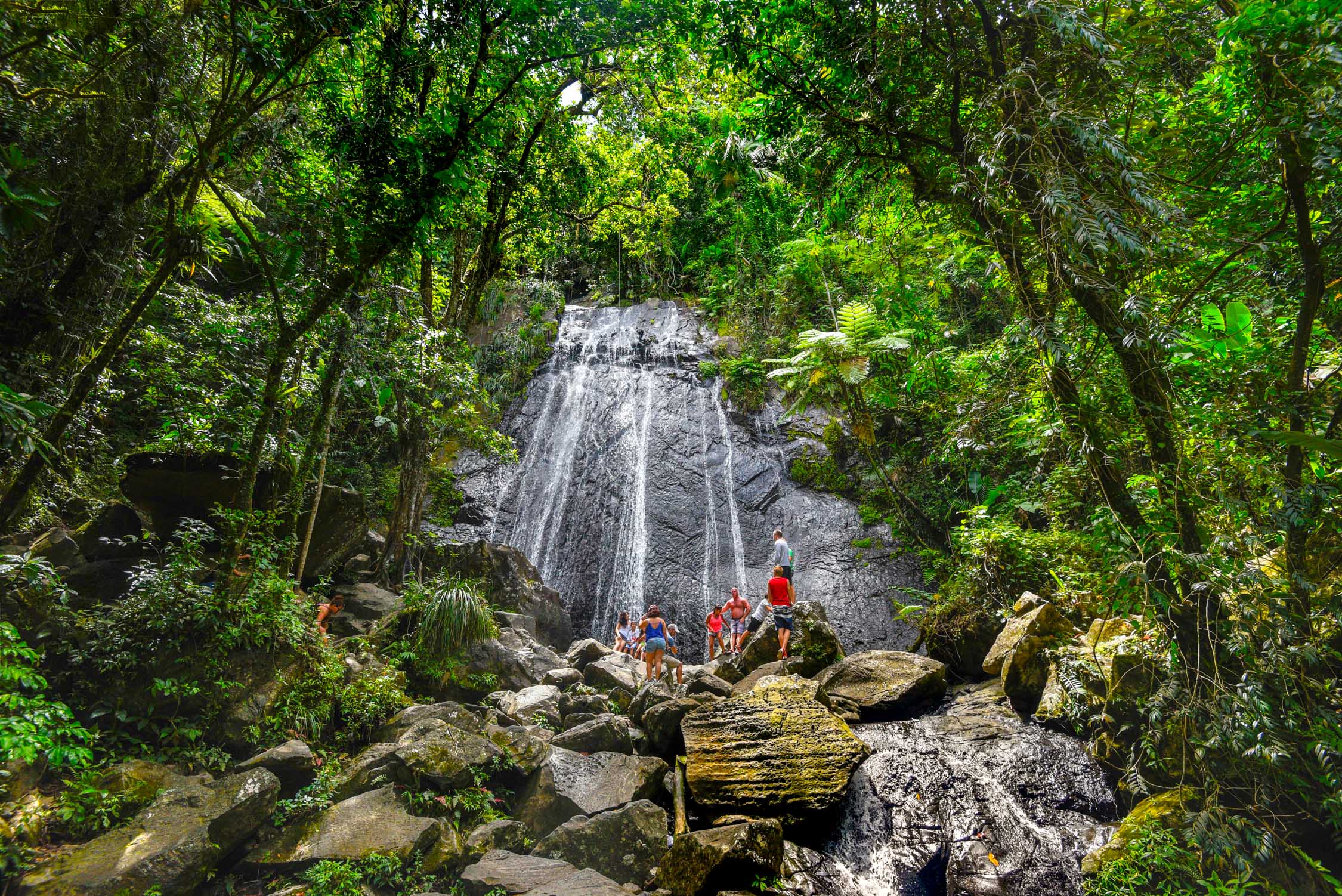 El Yunque Rainforest The Only Rainforest In The United States — No Destinations
