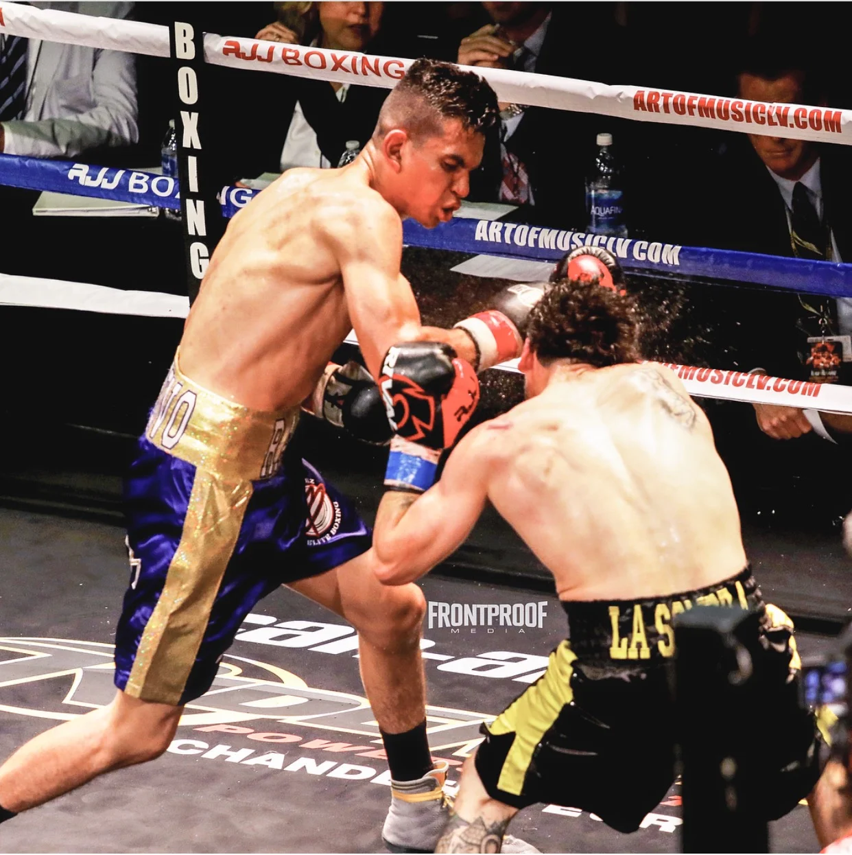 Photos: Roy Jones Jr. Boxing presents Phoenix Showdown: Fight Night ...