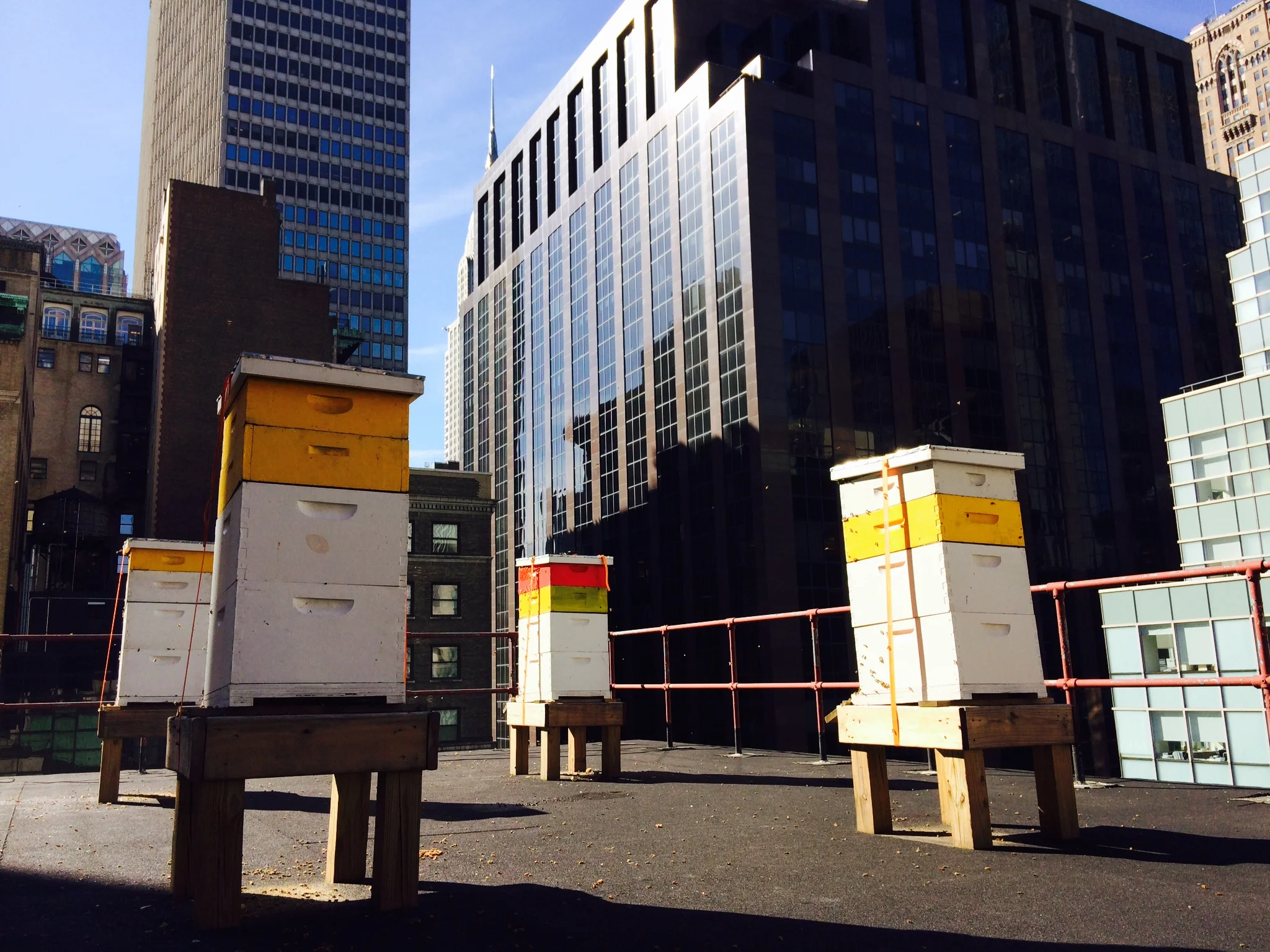 Beehive Registration — New York City Beekeepers Association