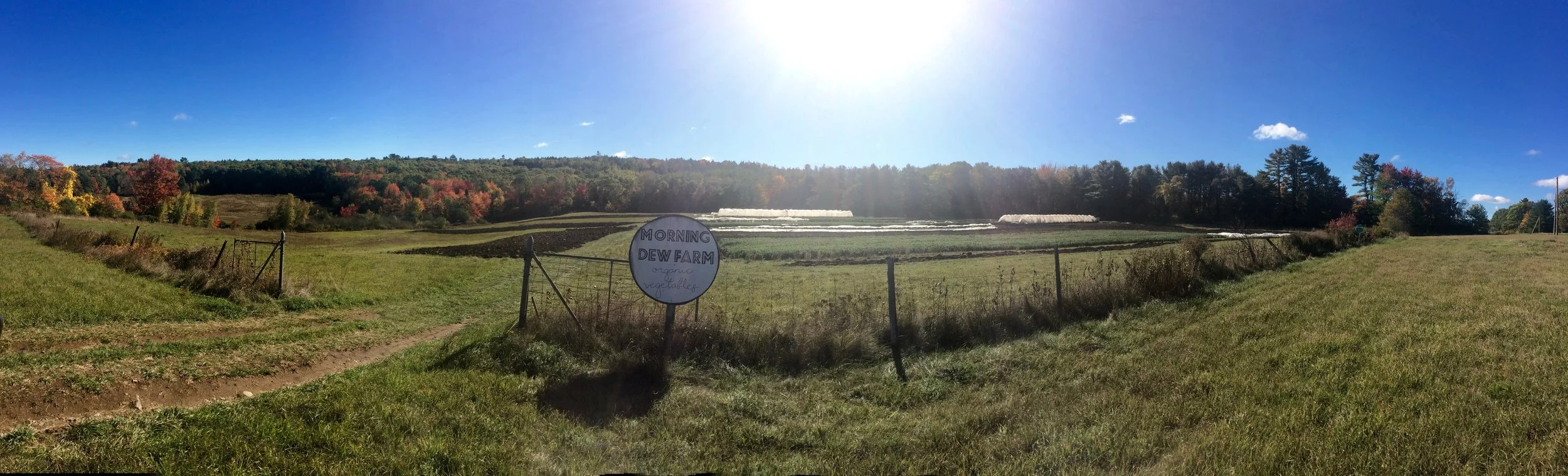 menu — Morning Dew Farm