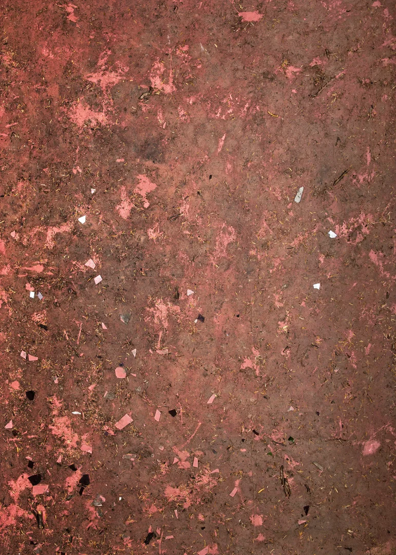 Border Paintings — G.T. Pellizzi