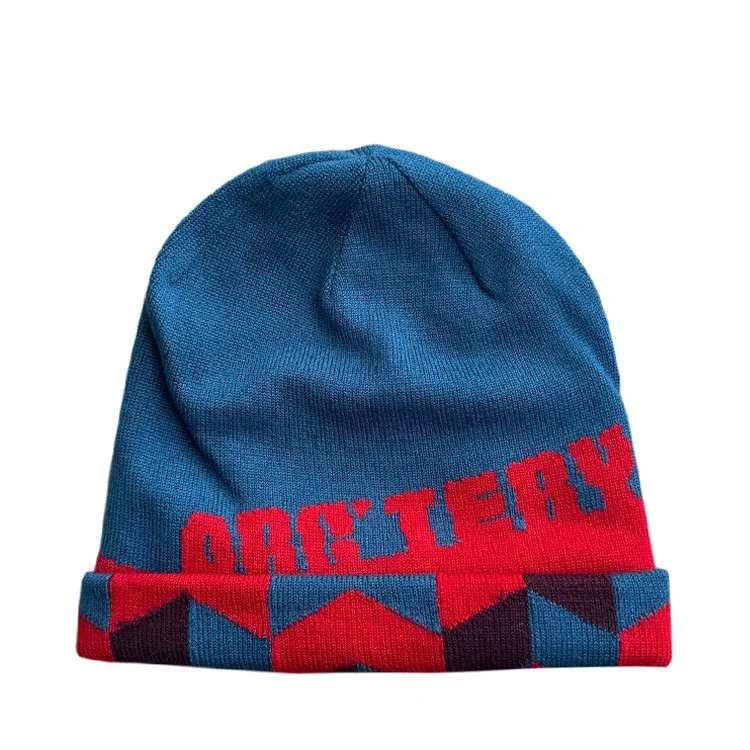 Arc'teryx Geo Spell Out Teal Red Reversible Toque NWT — RootsBK